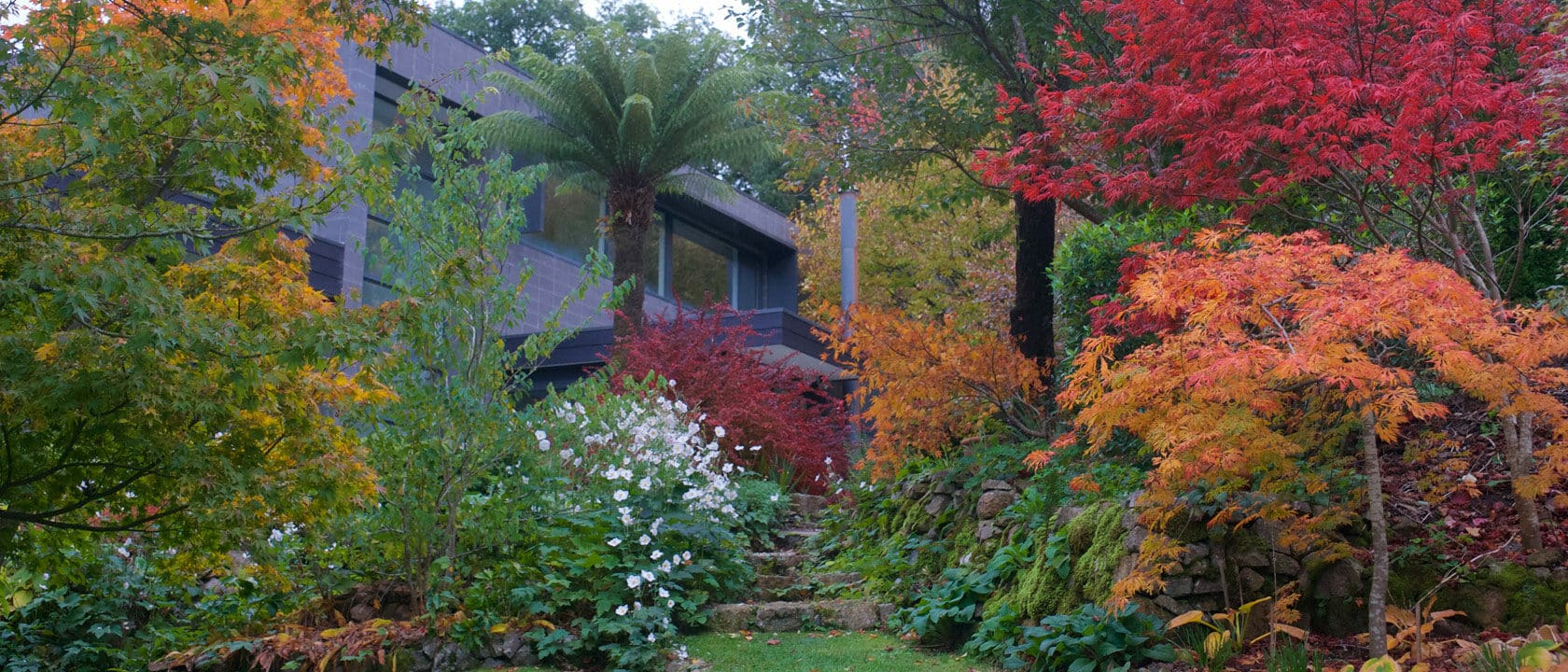 Mt Macedon Garden Tour with Stephen Ryan 2025 | ASA Cultural Tours